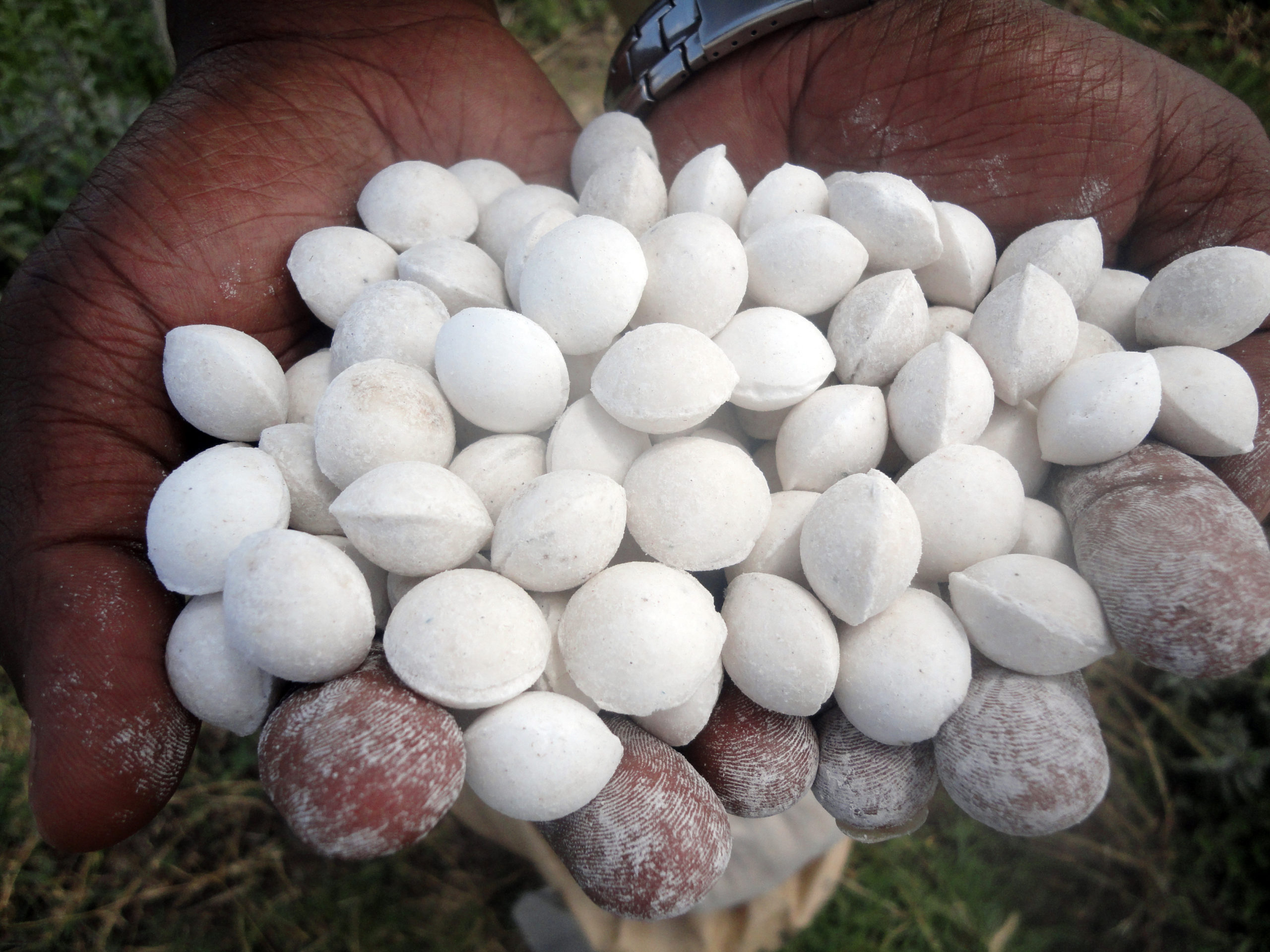 Slow-release nitrogen fertilizers measure up - IFDC