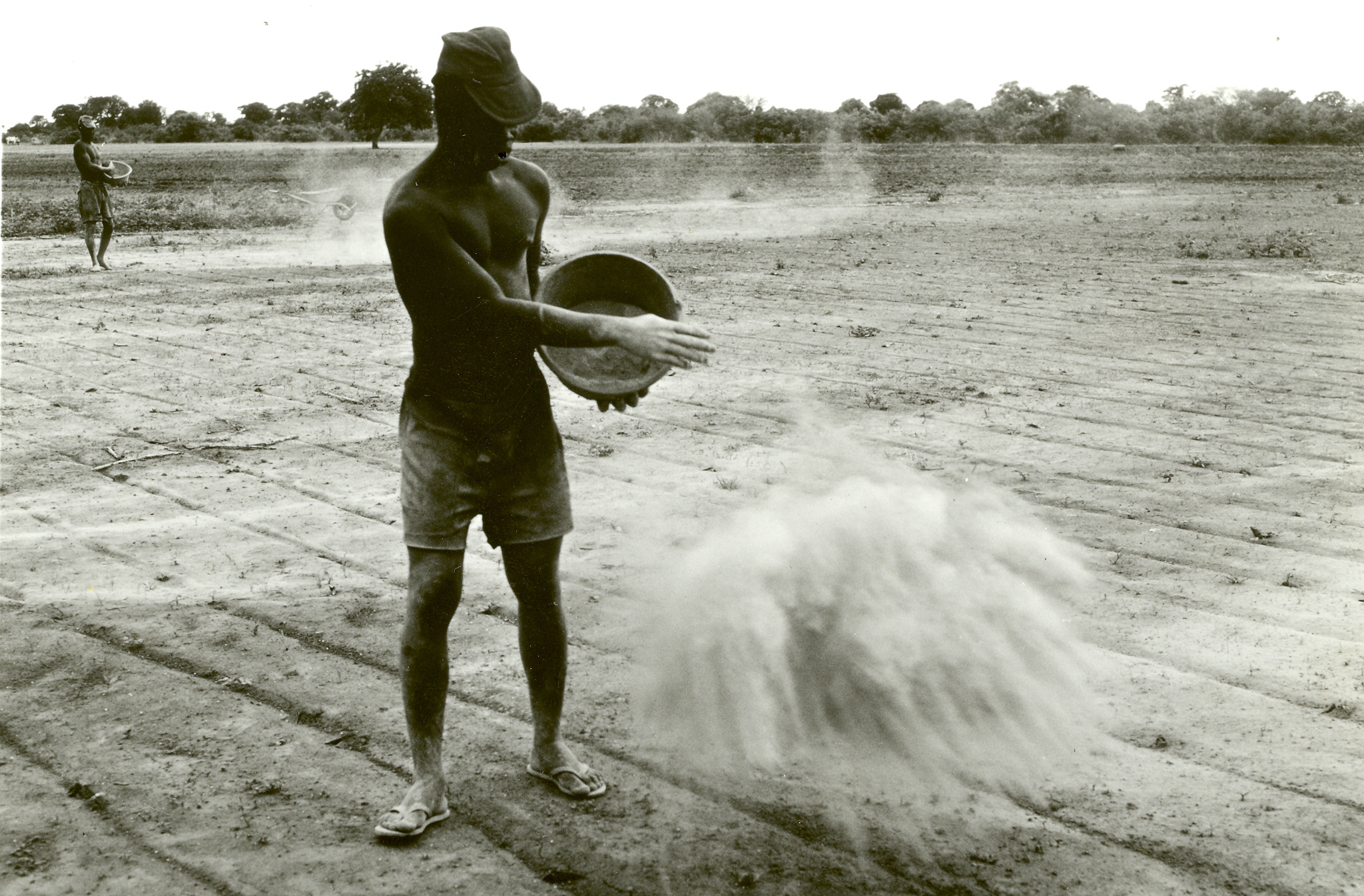 41 Years of Putting Farmers First - IFDC