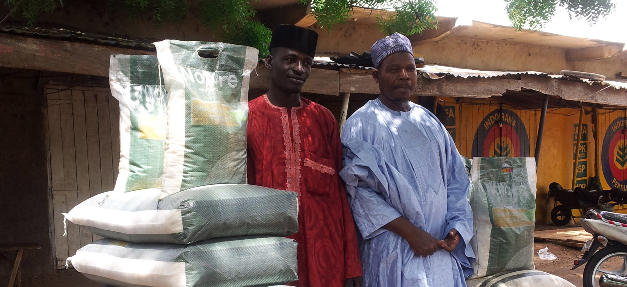 How a Nigerian Agro-Dealer Transformed from Mentee to Mentor - IFDC