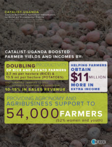 8 Ways CATALIST Improves Agribusiness in Uganda - IFDC