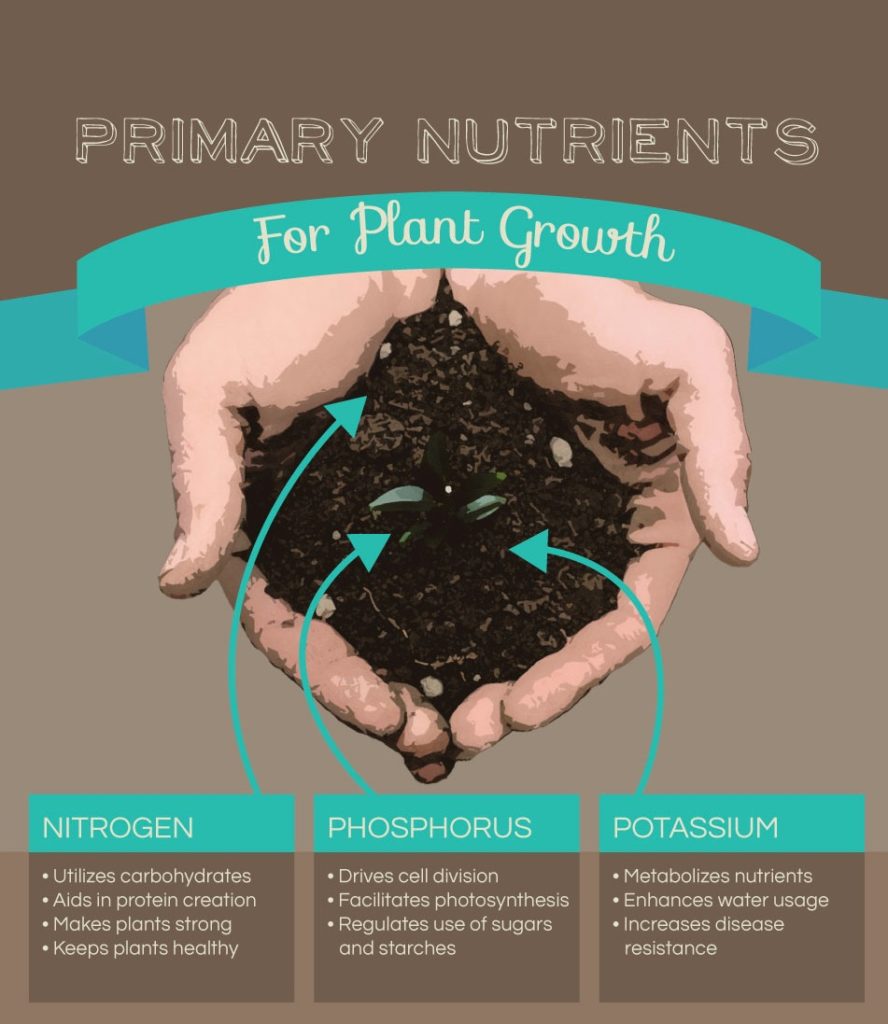 Fertilizer: The Basics - IFDC