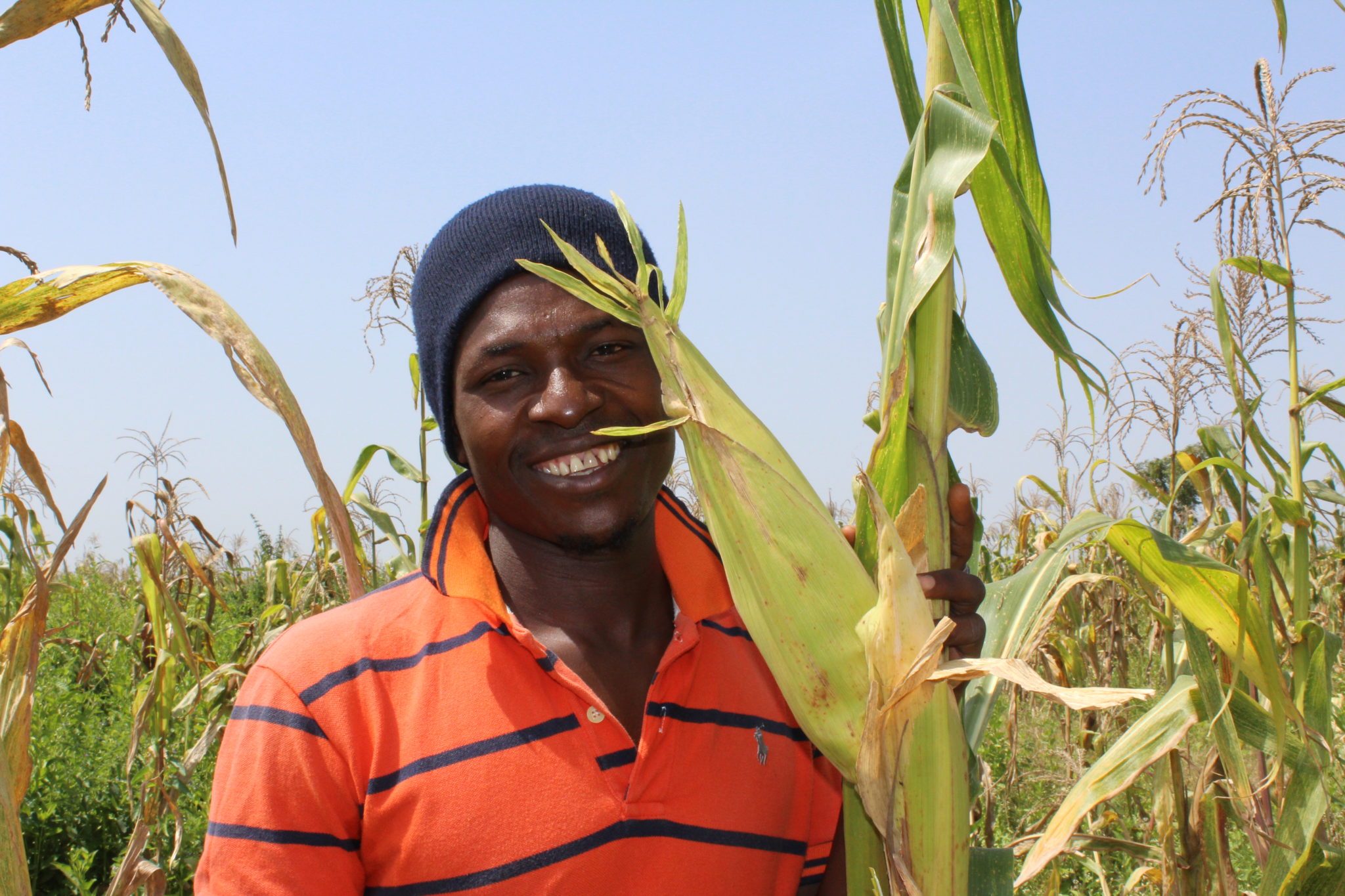 Feed the Future Nigeria Agro-Inputs Project Completes Work After ...