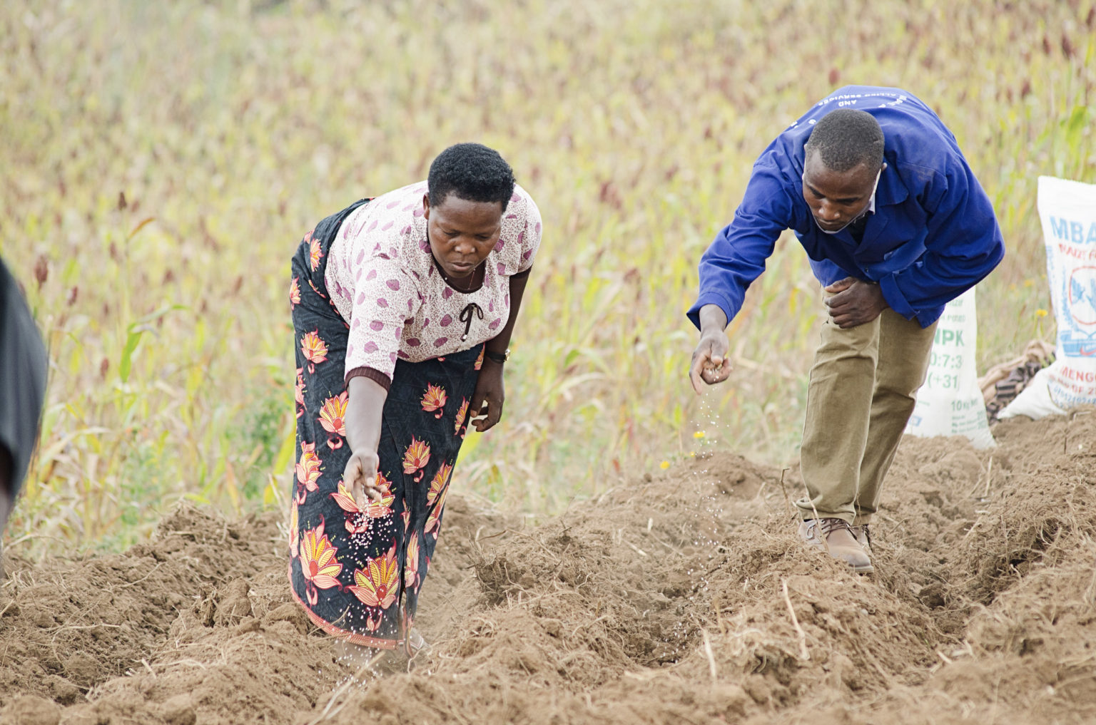 AfricaFertilizer – IFDC