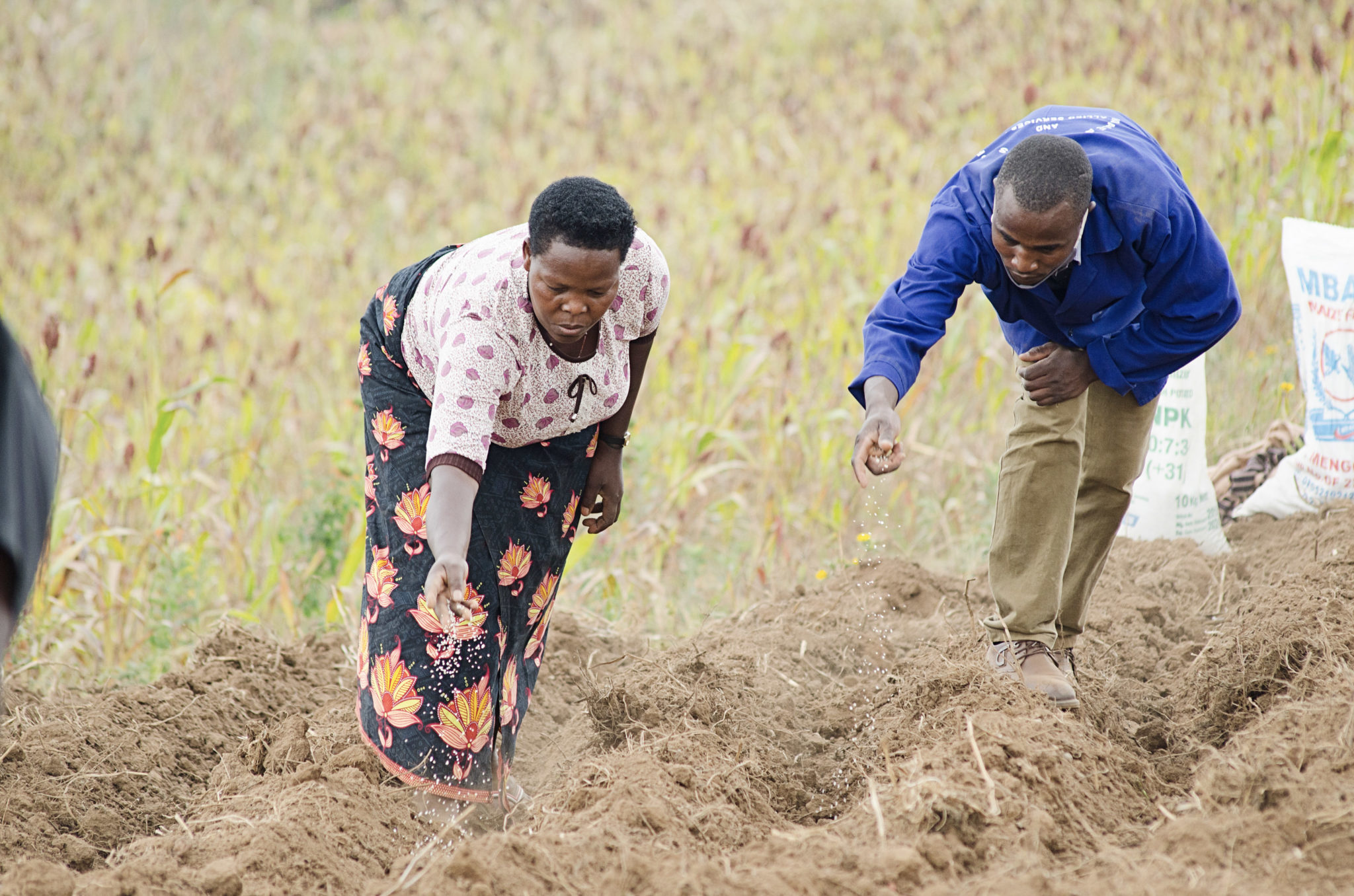 AfricaFertilizer – IFDC