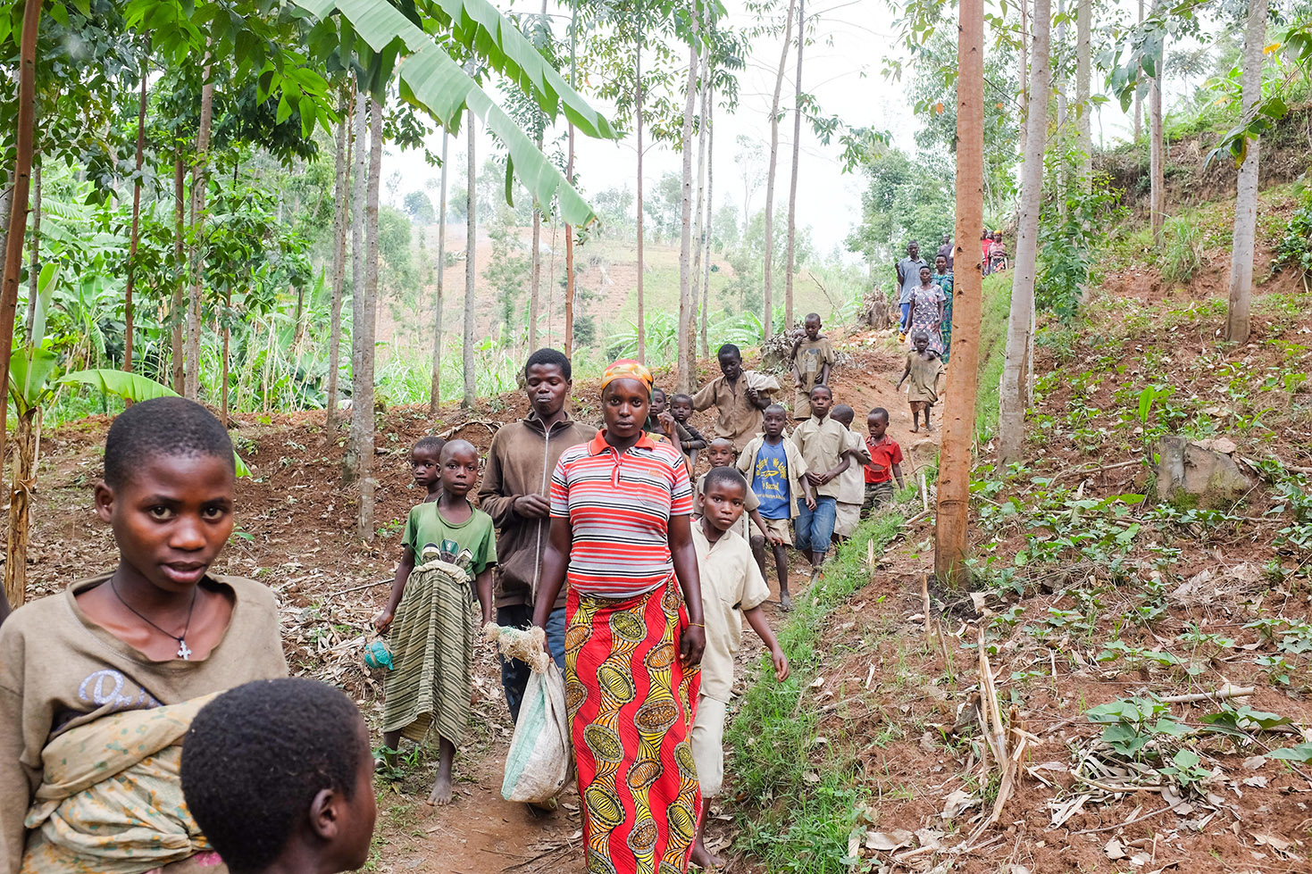 Soil Fertility Stewardship Project (PAGRIS) - IFDC