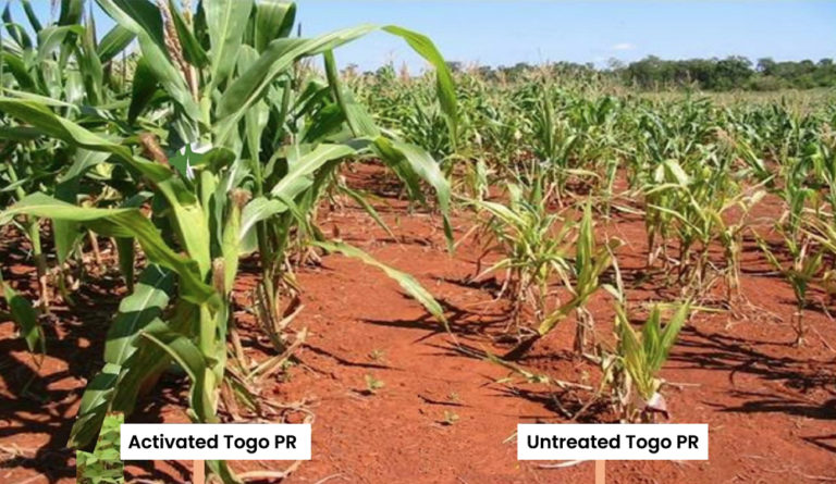 2019 Annual Report – IFDC