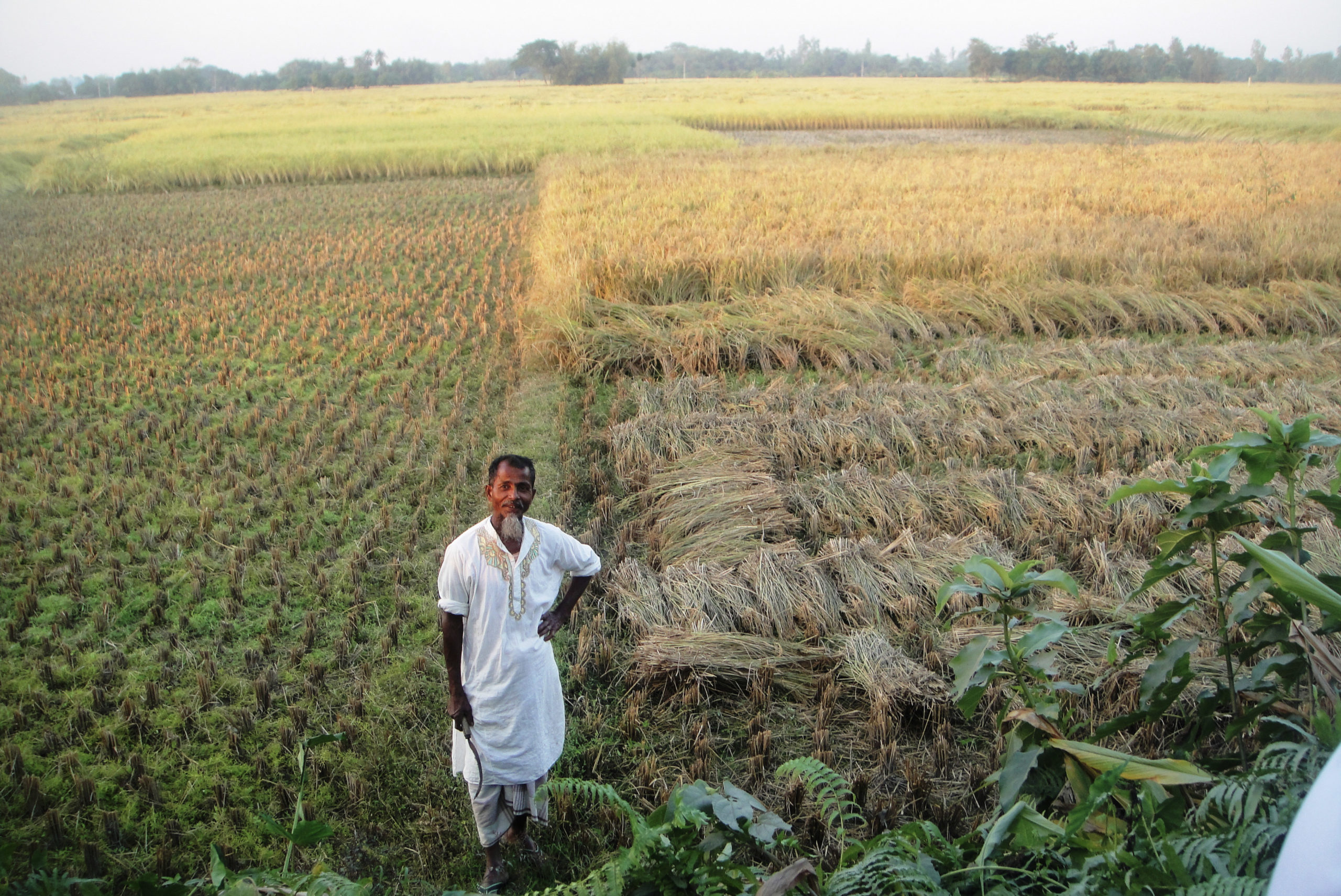 The Sustainable Soil Management Component (SSMC) of the OCP Foundation ... The Sustainable Soil Management Component (SSMC) of the OCP Foundation ...