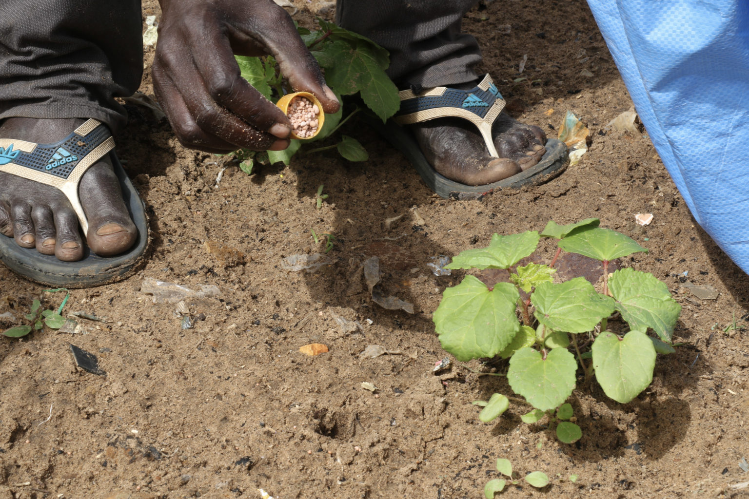 4R Nutrient Stewardship: Making Fertilizer Work for You and the ...