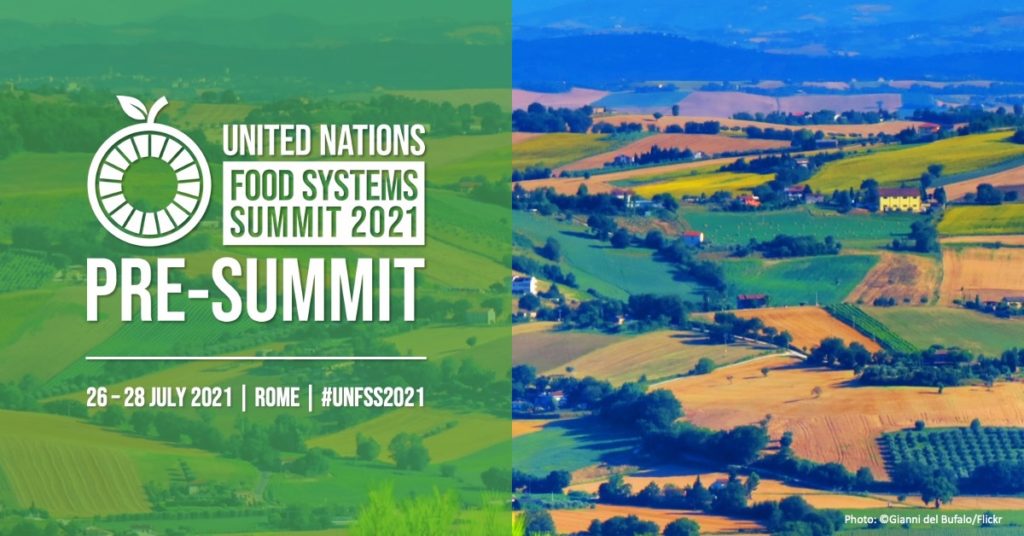 UN Food Systems Summit 2021 - IFDC and Partner Resources - IFDC