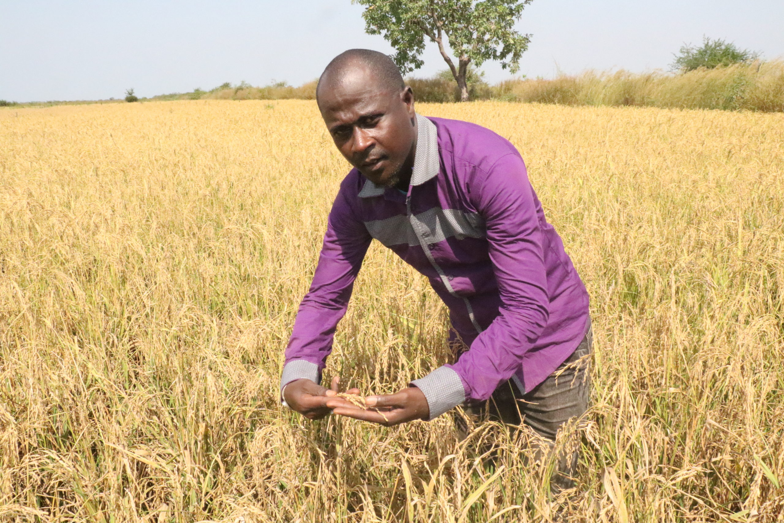 Making Dreams a Reality: UDP Exceeds Expectations of Young Farmer - IFDC