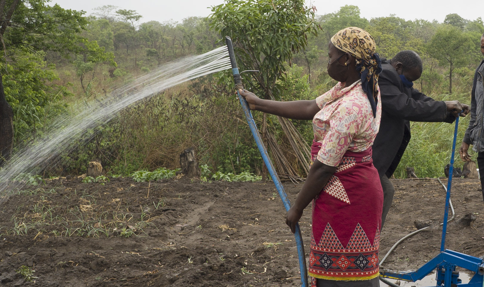 Mozambican Smallholder Farmers Adopt Environmentally-Friendly ...