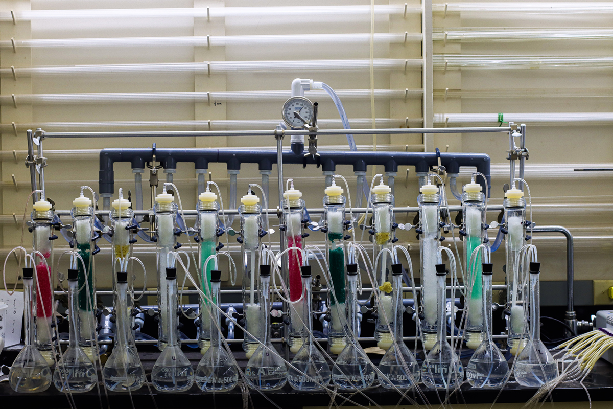 2021 Annual Report – IFDC