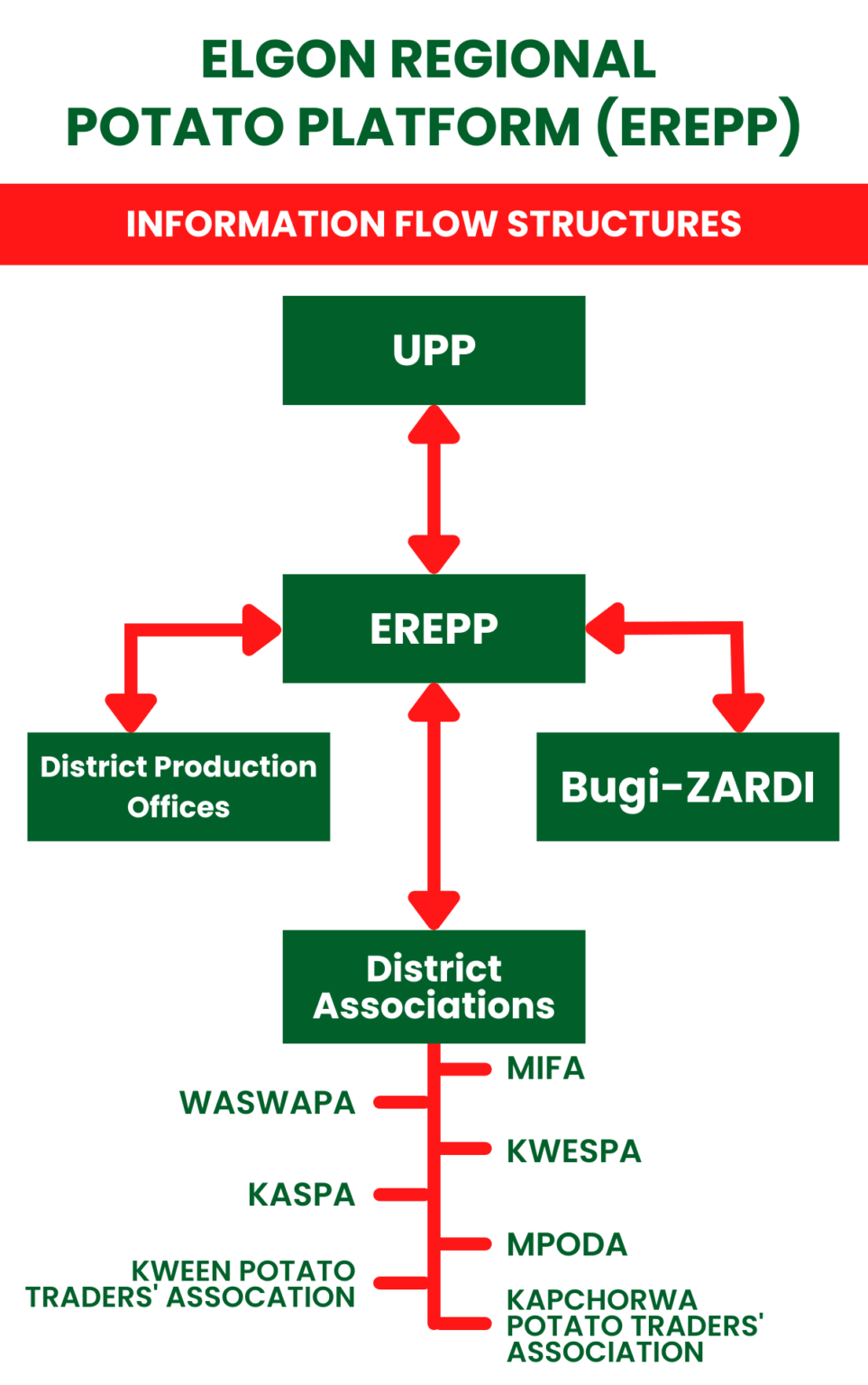 Strengthening Coordination of the Potato Value Chain through the Elgon ...