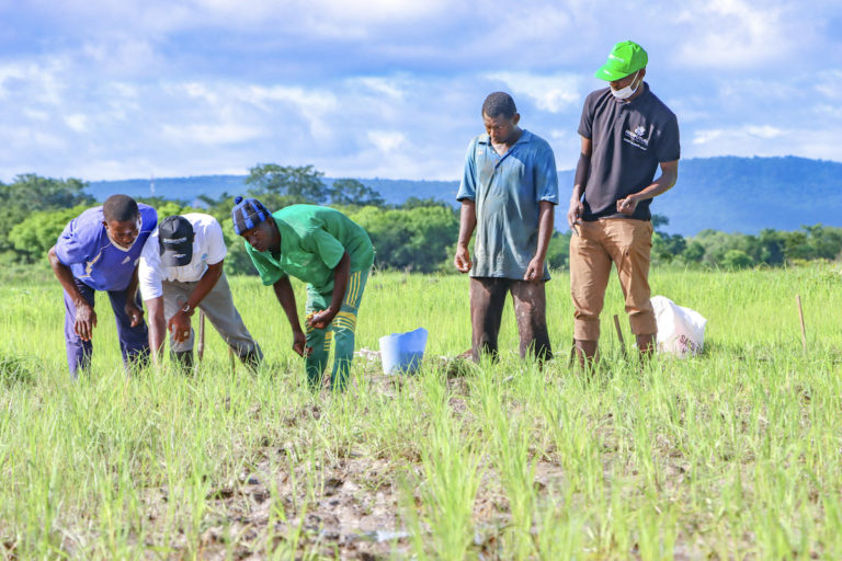 IFDC and USAID, through Feed the Future, Present Findings from the West ...
