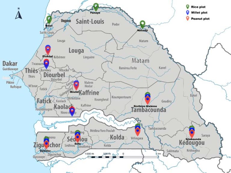 Senegal in the New Age of Fertilizer — Formulas Based on Crop Needs - IFDC