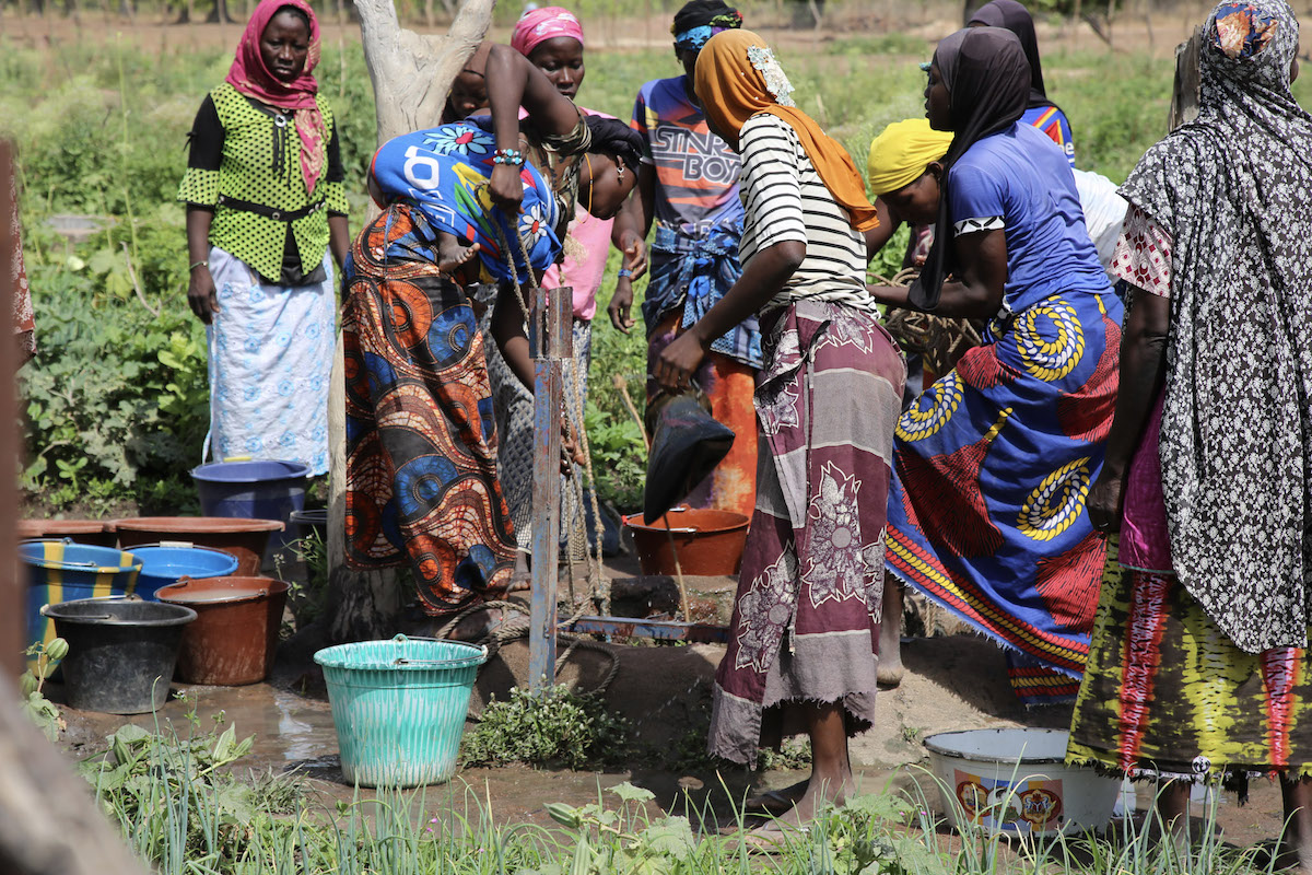 Revitalized Market Gardens Draw Women to Mali’s Agriculture Sector - IFDC