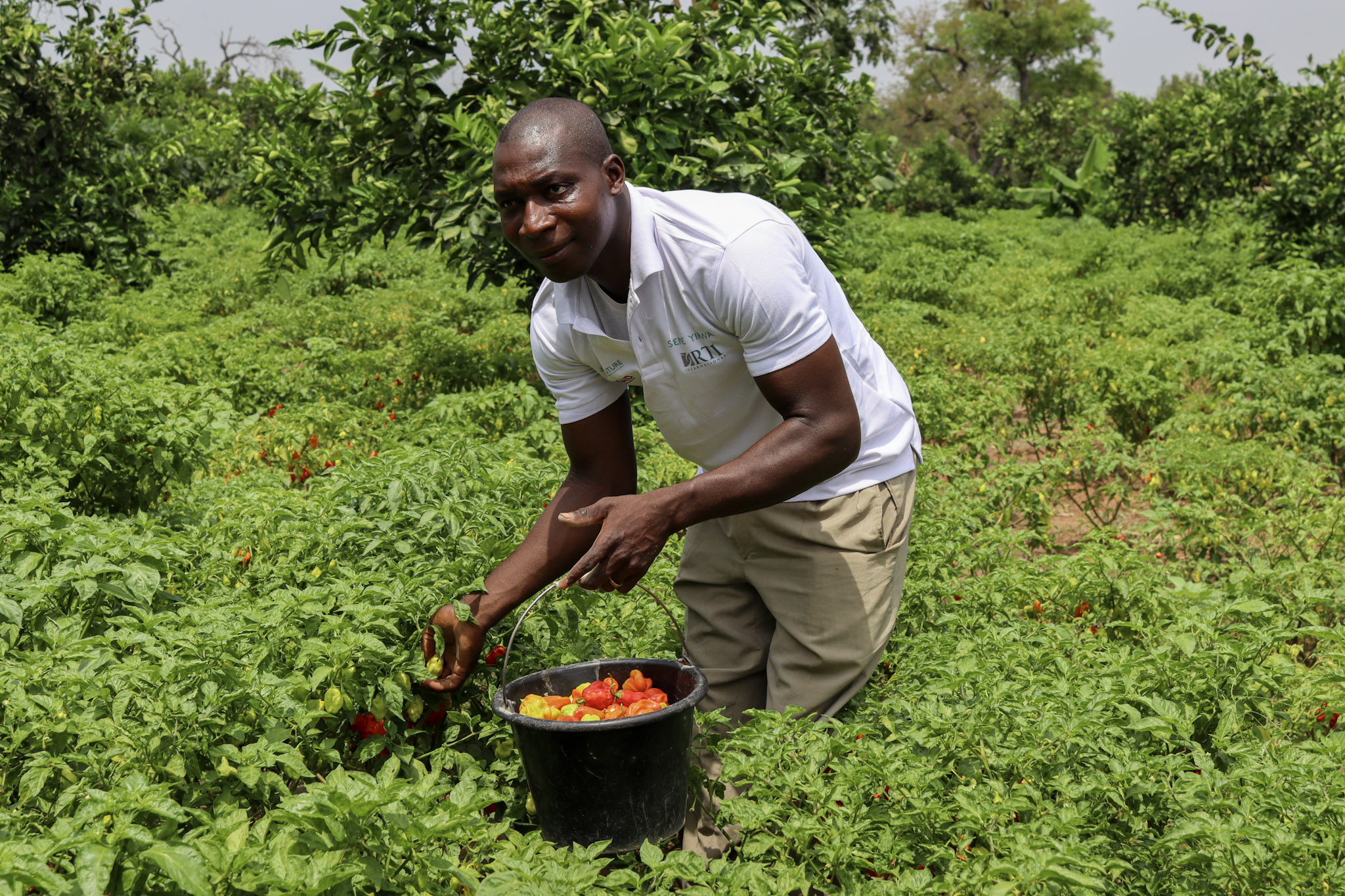 Earth Day 2023 Good Agricultural Practices Benefit Malian Producers earth-day-2023-good-agricultural-practices-benefit-malian-producers