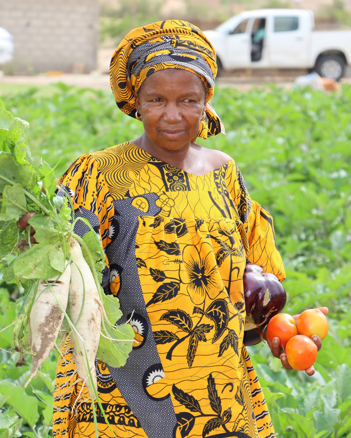 Meet Binta Ba: Using Microdosing to Feed the Soil and Improve Incomes ...