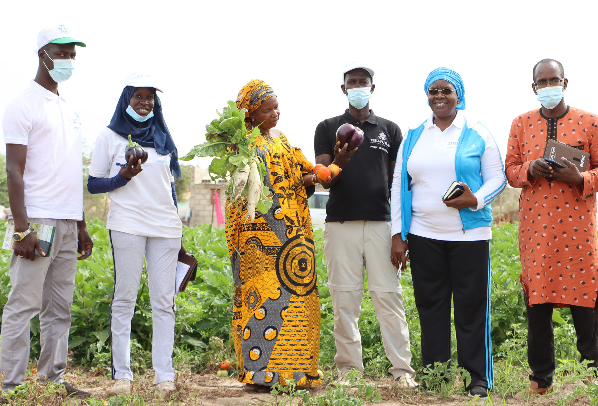 Meet Binta Ba: Using Microdosing to Feed the Soil and Improve Incomes ...