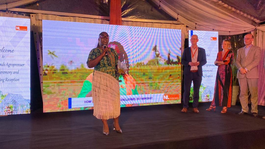 Damilola Awe and DDEE Farms’ Journey with HortiNigeria - IFDC