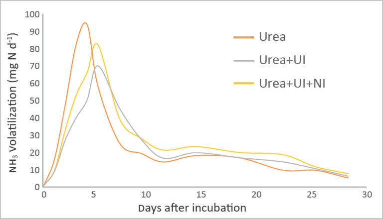 2023 Annual Report - IFDC