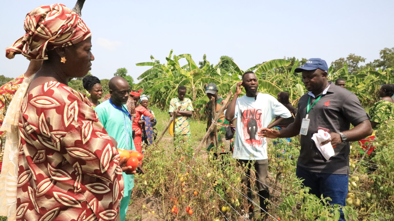 ACMA3’s Support for Women in Agriculture - IFDC