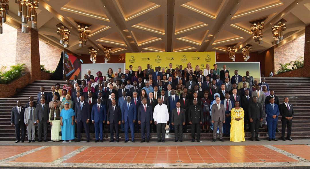 Adopting 10-Year strategy to Ensure Food security - IFDC