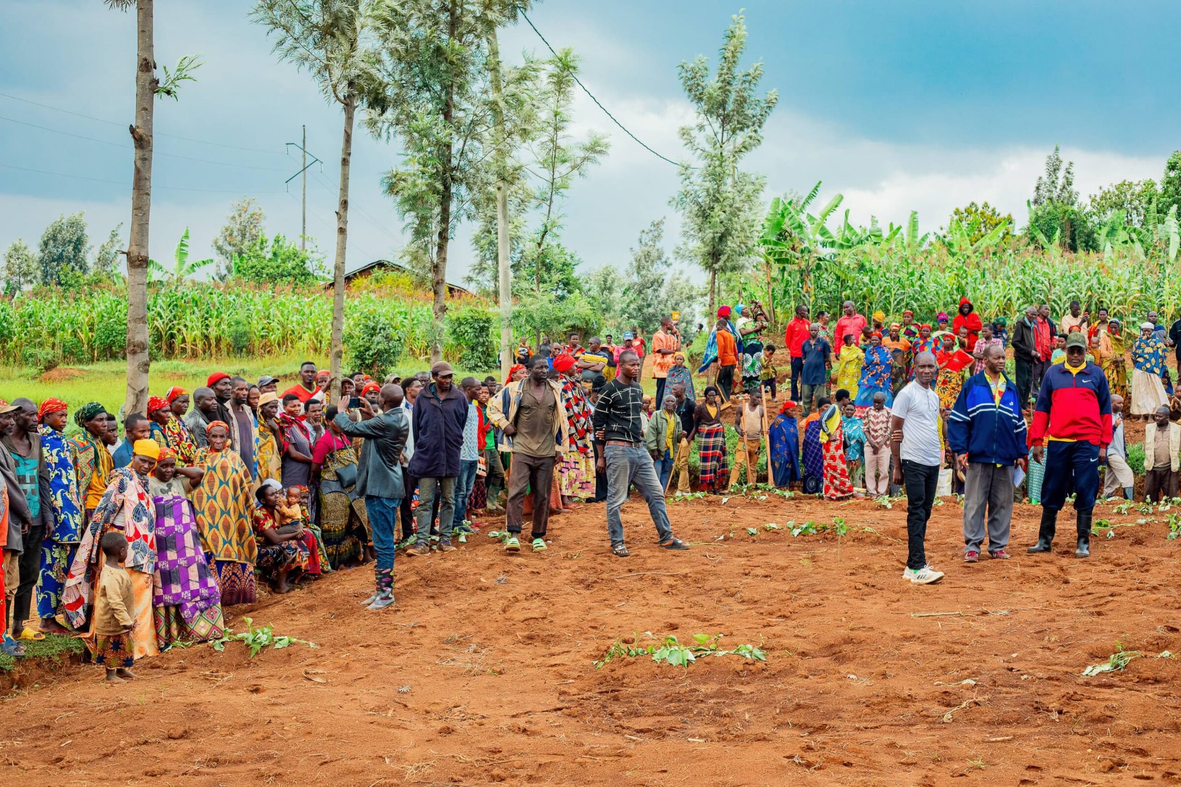 Using Proper Dolomite Application to Mitigate Soil Acidity - IFDC