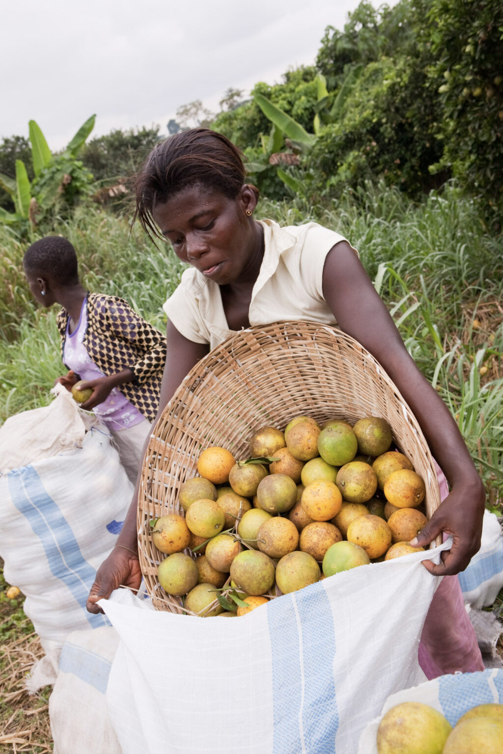Larry Umunna on the Next Chapter of African Agriculture - IFDC