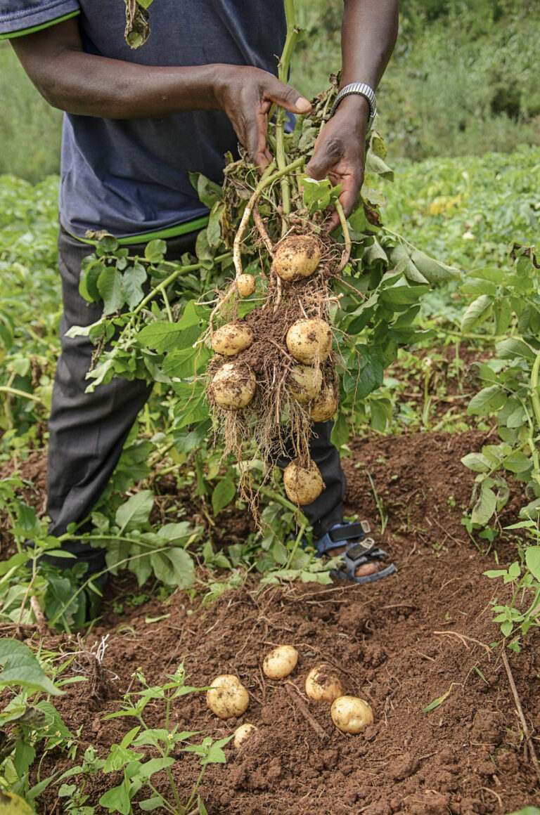 Frequently Asked Questions about Fertilizer - IFDC