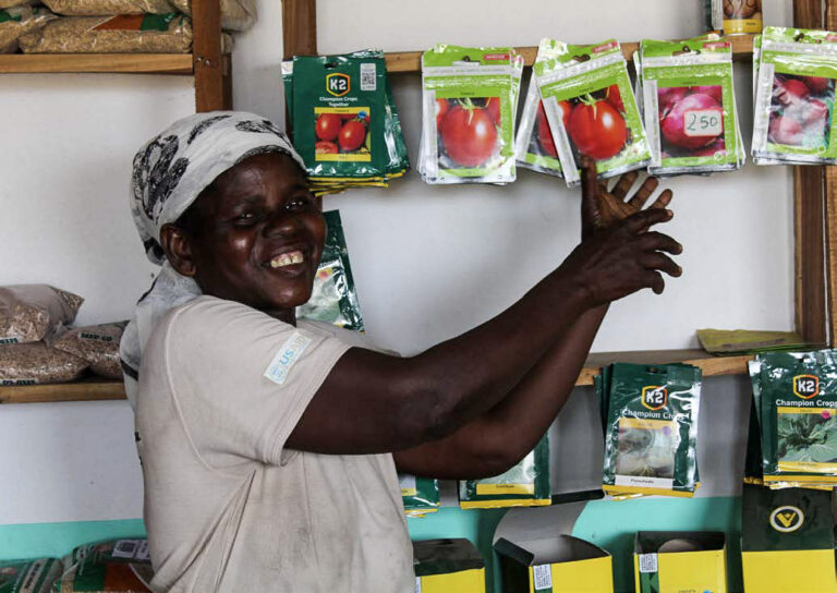 Agro-Dealers Driving Change Along the Beira Corridor - IFDC