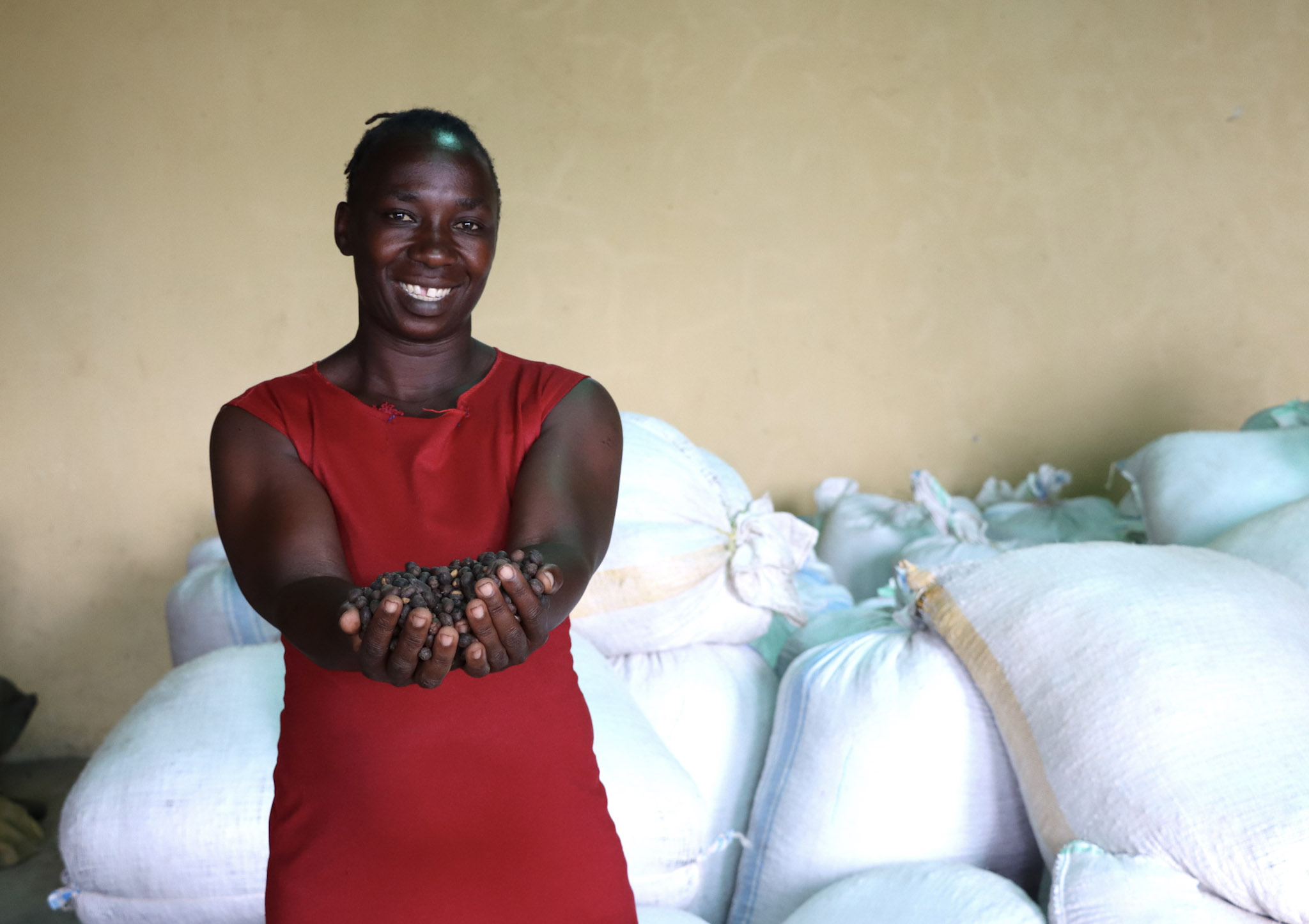 Linking Smallholder Coffee Farmers to Global Markets - IFDC
