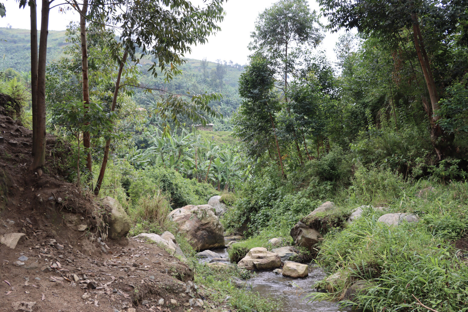 Promoting Inclusive Watershed Management for Sustainable Water Conservation - IFDC