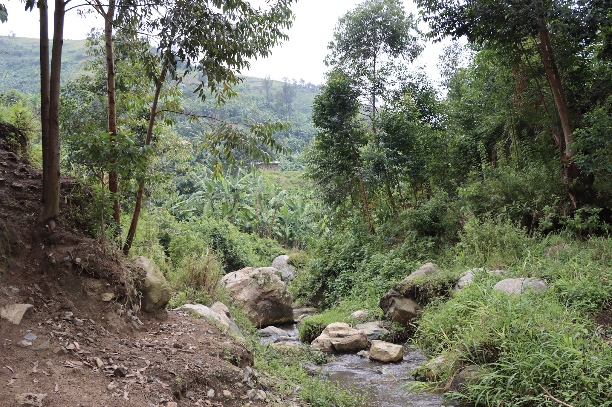 Promoting Inclusive Watershed Management for Sustainable Water ...